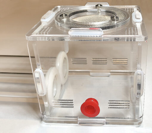 Dual Test Tube Outworld Nest for Queen Ant - 15mm / 20mm