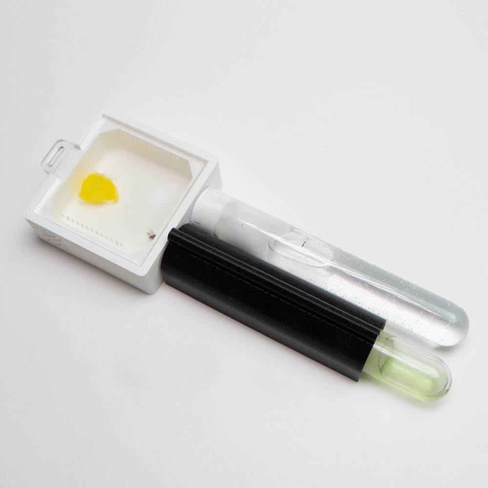 Black Light Cover for Queen Ant - Suits up to 18mm Test Tube