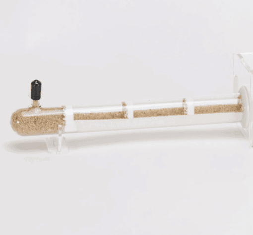 Queen Ant Founding Sand Lined Test Tube, Chambered