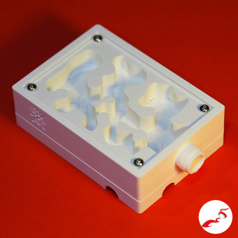 Beginner Queen Starter Package - Ant / Equipment / Food