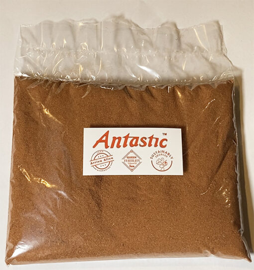 300gr Red Sand. For Queen Ants / Bull Ants / Reptiles, Outworlds
