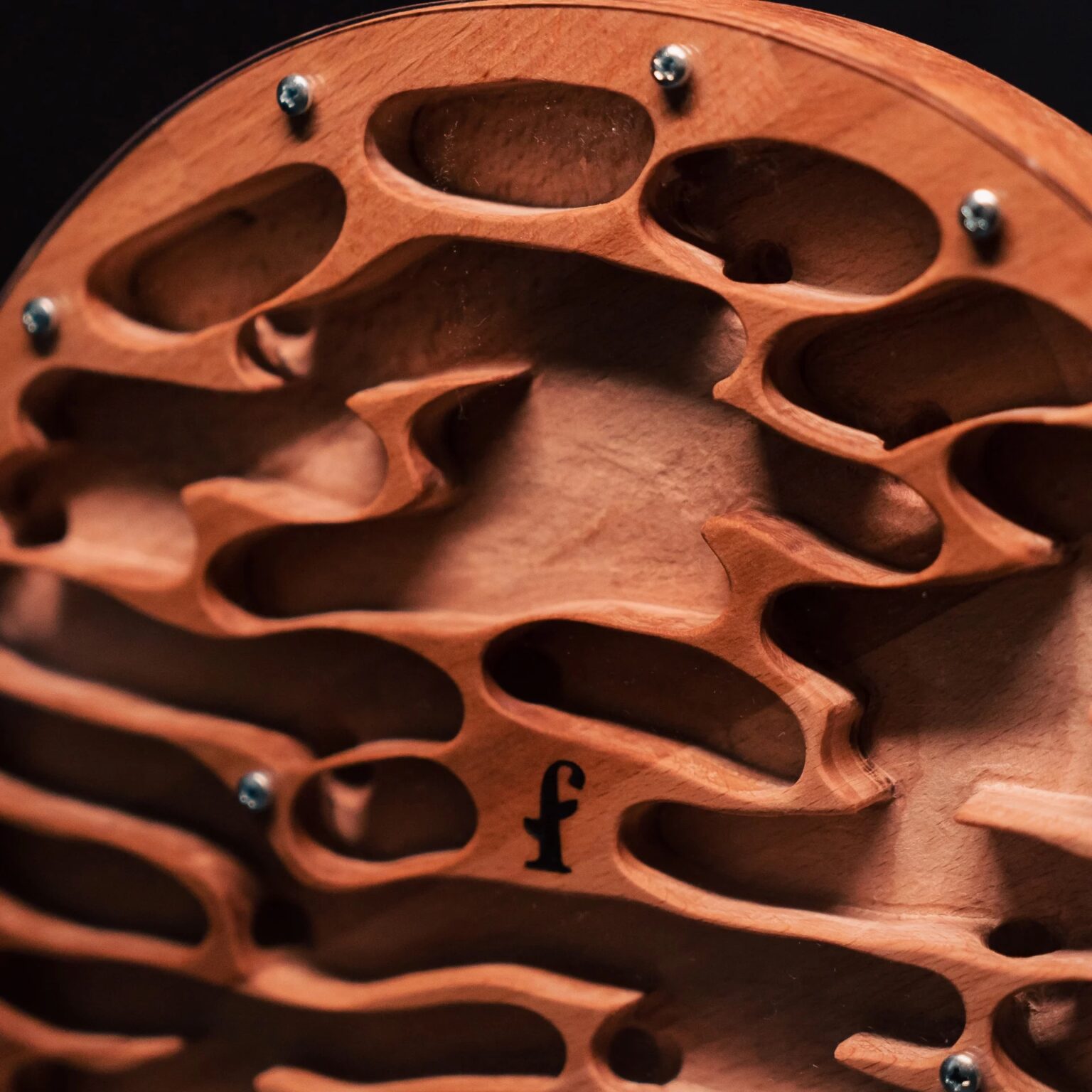 Mini Queen Ant Starter Kit - Ant / Equipment / Food