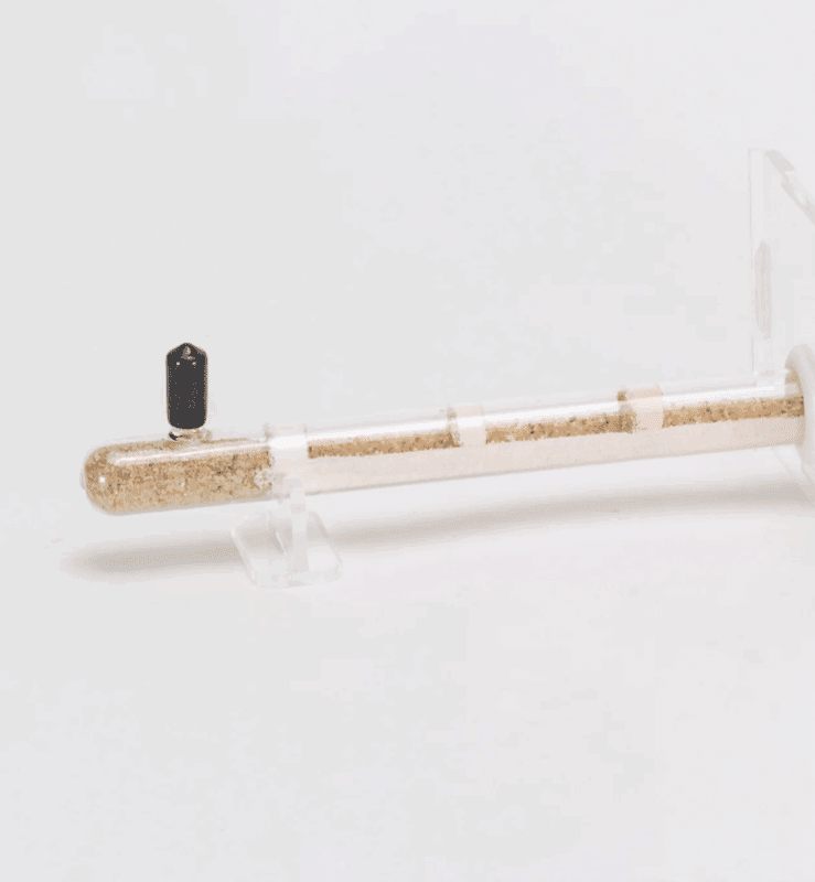 Founding Chambered Sand Tube Nest for Queen Ant