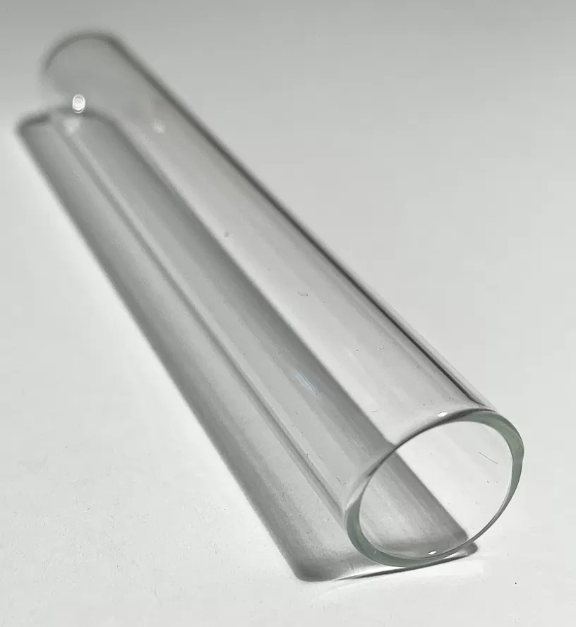 How do I care for my Queen Ant? Only 4 Thnigs They Need